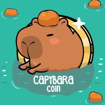 CAPY今日价格_Capybara BSC币实时行情_CAPY最新消息-币情报